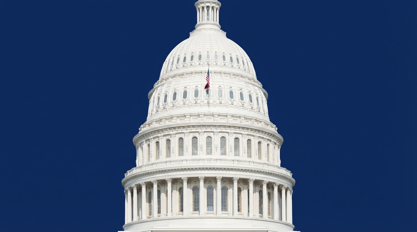 congressional district representation: what it means in practice explained