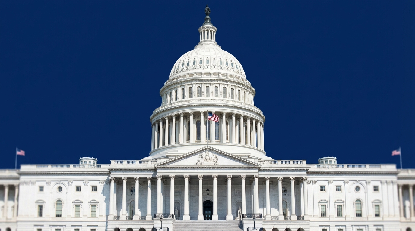 what does a congressman do: Practical guide to the role and duties