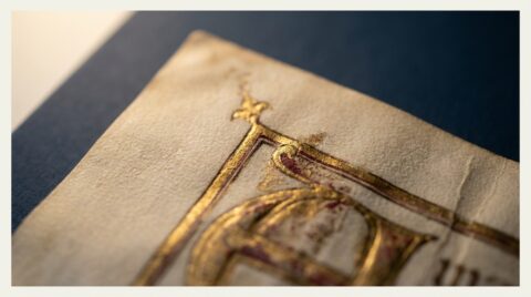 Magna Carta and Bill of Rights explained, in simple terms